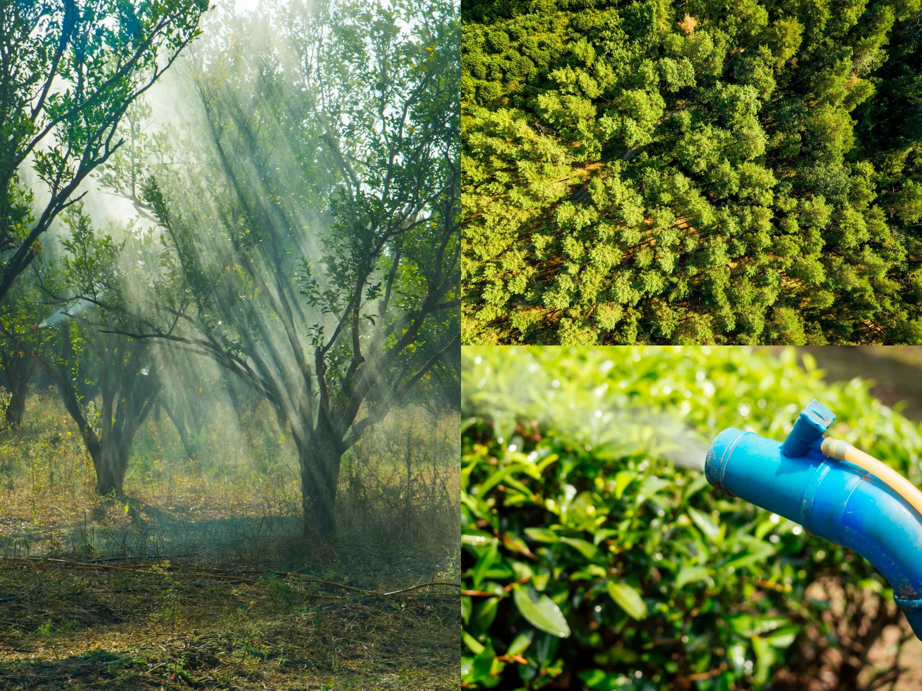 Altitude Maintenance: Home Page